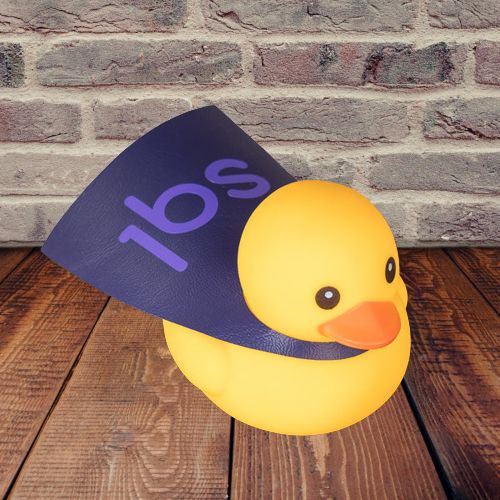 Daniella Tangherlini on LinkedIn: #rubberduckdebugging #codequackery # ... Daniella Tangherlini on LinkedIn: #rubberduckdebugging #codequackery # ...