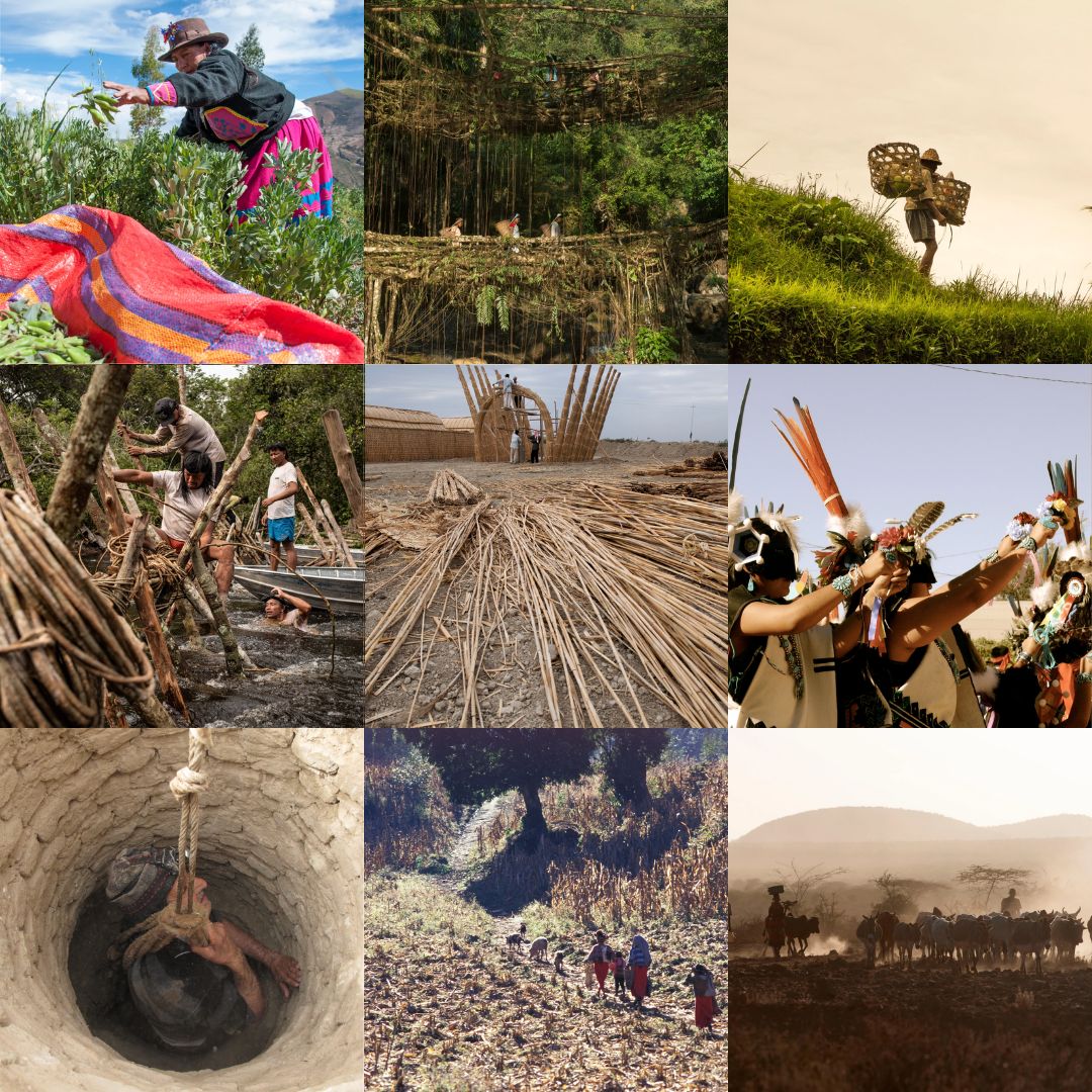 Julia Watson auf LinkedIn: Why doesn't the IPCC and United Nations ... Julia Watson auf LinkedIn: Why doesn't the IPCC and United Nations ...