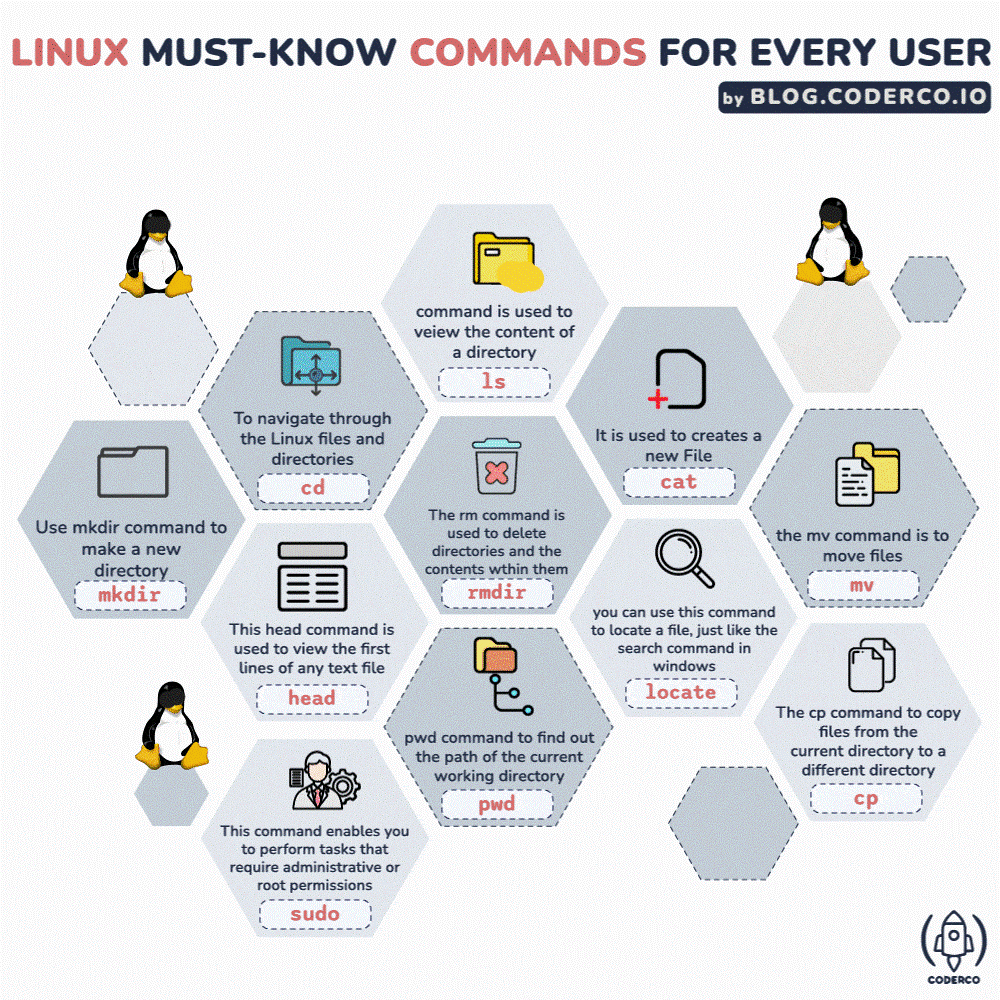 Endrit S on LinkedIn: #linux #devops #interviewtips #techtips Endrit S on LinkedIn: #linux #devops #interviewtips #techtips