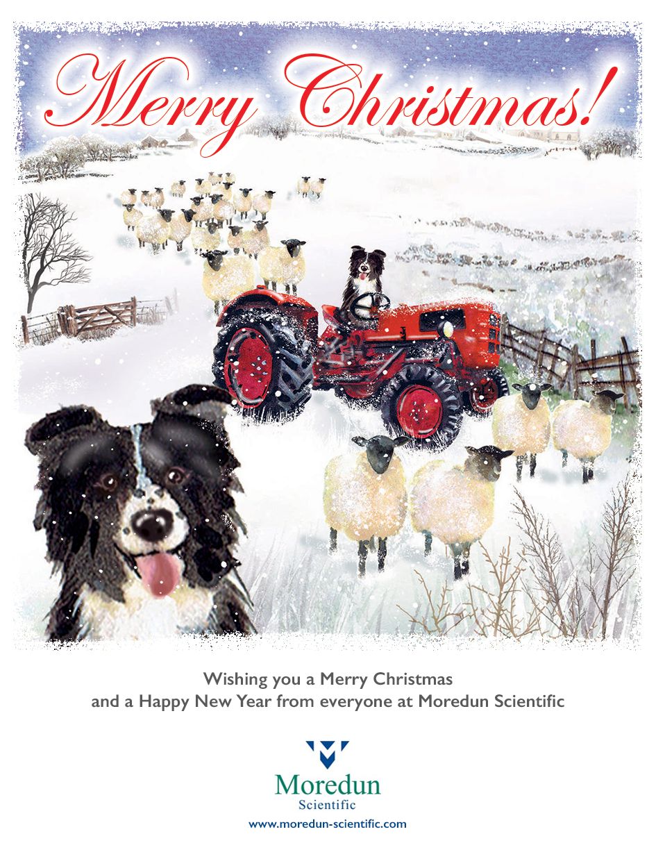 Moredun Scientific on LinkedIn: Seasons Greetings from everyone at ... Moredun Scientific on LinkedIn: Seasons Greetings from everyone at ...