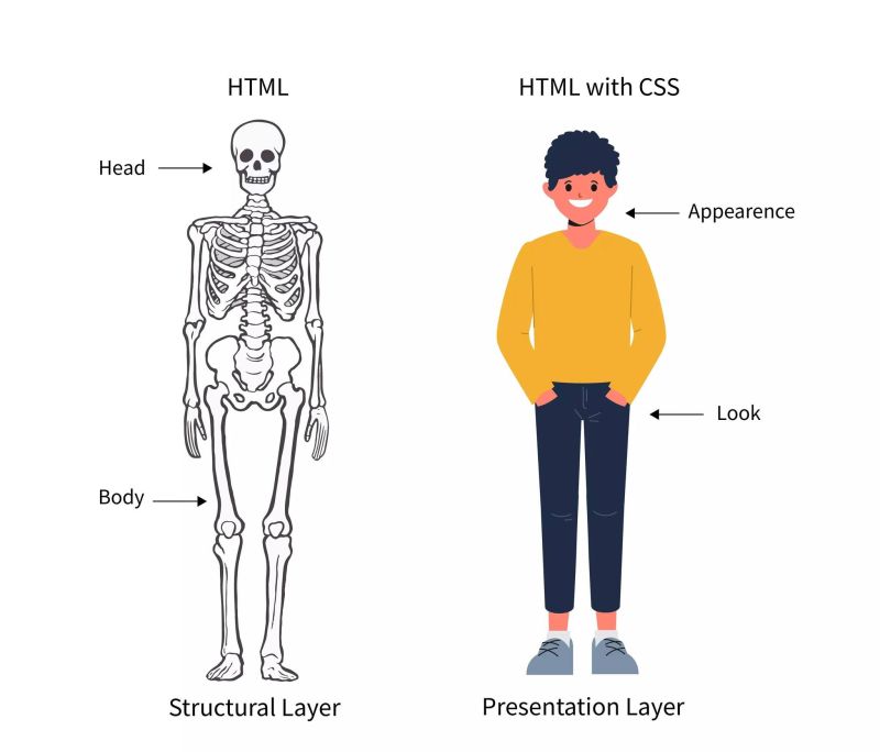 JavaScript Junkies on LinkedIn: Concept of HTML With CSS Using Structure. JavaScript Junkies on LinkedIn: Concept of HTML With CSS Using Structure.
