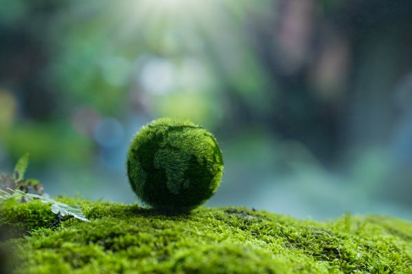 Anne SAMSON on LinkedIn: Carbon Border Adjustment Mechanism Conditional ... Anne SAMSON on LinkedIn: Carbon Border Adjustment Mechanism Conditional ...