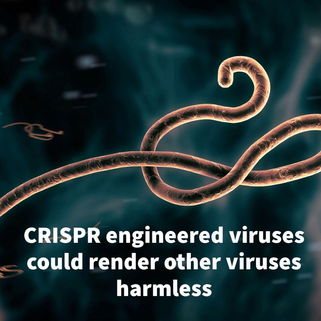 CRISPR BIOTECH ENGINEERING on LinkedIn: A virus engineered using CRISPR ... CRISPR BIOTECH ENGINEERING on LinkedIn: A virus engineered using CRISPR ...