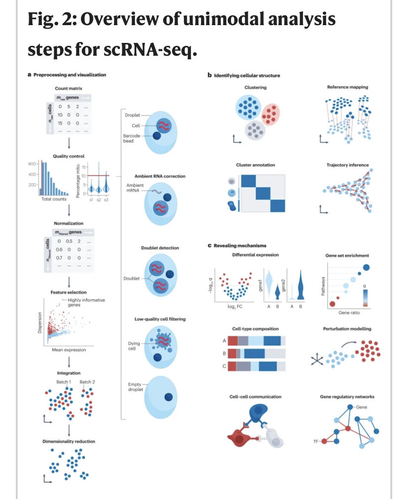 Sumeet Pandey, PhD on LinkedIn: For #single-cell multi-#omics to have a ... Sumeet Pandey, PhD on LinkedIn: For #single-cell multi-#omics to have a ...