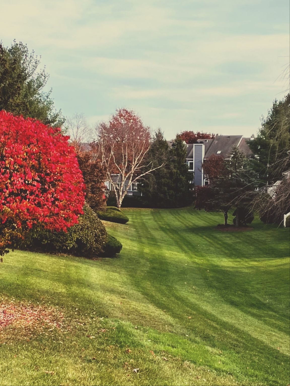 Dave Devenney on LinkedIn: #brightviewlandscapes #brightviewtreecare # ... Dave Devenney on LinkedIn: #brightviewlandscapes #brightviewtreecare # ...