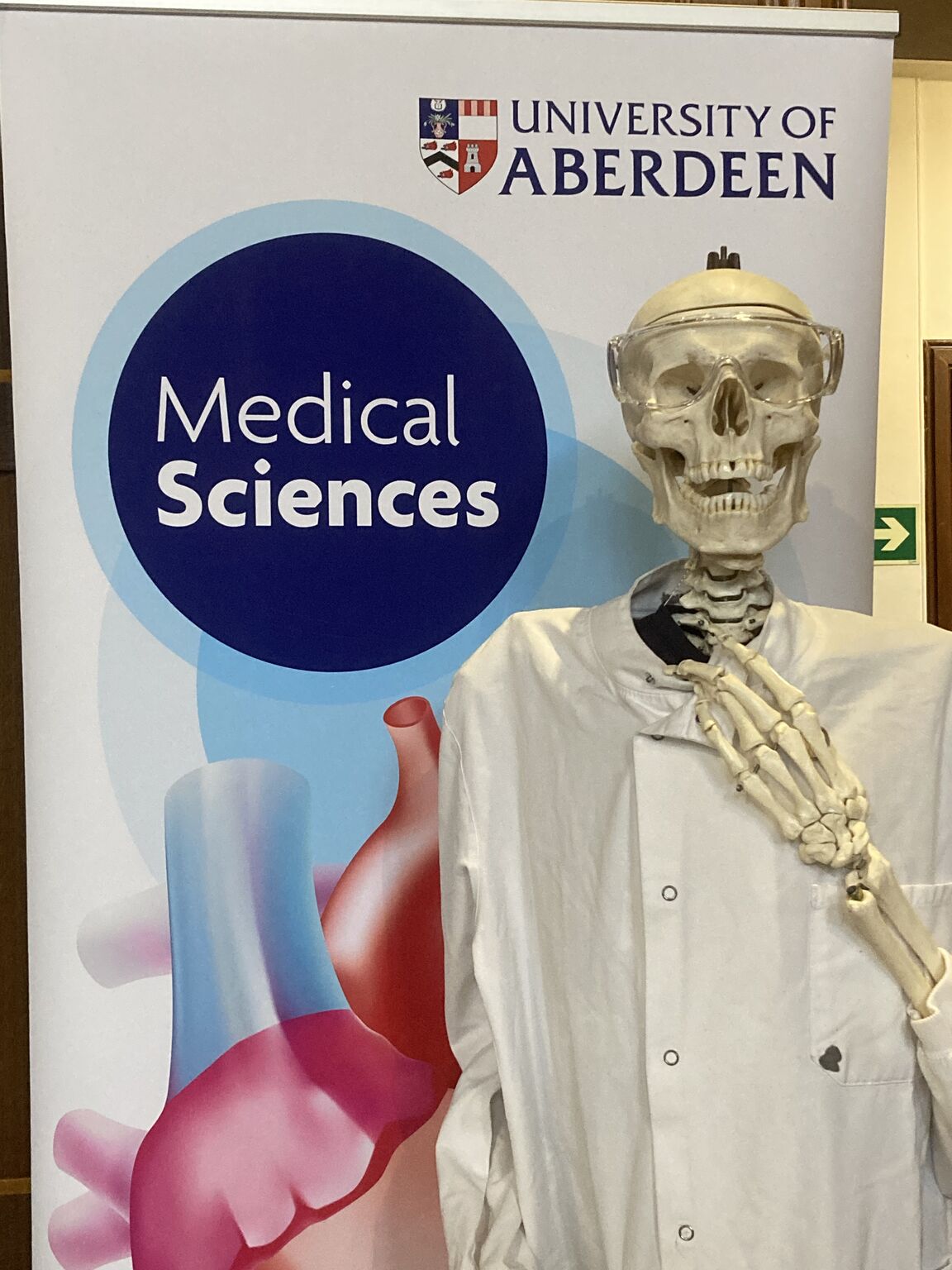 Donna MacCallum on LinkedIn: #biochemistry #biomedicalsciences # ... Donna MacCallum on LinkedIn: #biochemistry #biomedicalsciences # ...