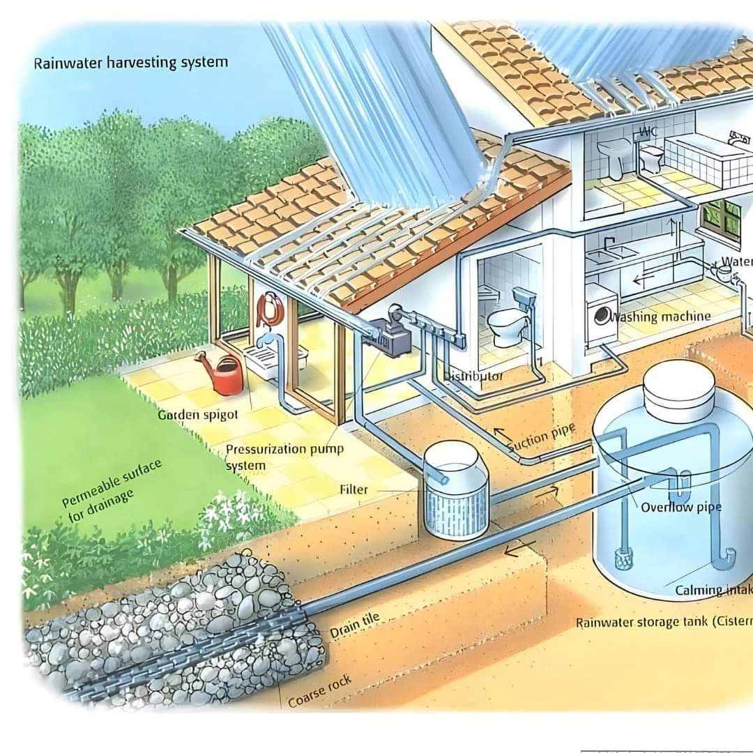 Naga Veera Bhadrudu Polukonda on LinkedIn: Rainwater Harvesting system ... Naga Veera Bhadrudu Polukonda on LinkedIn: Rainwater Harvesting system ...