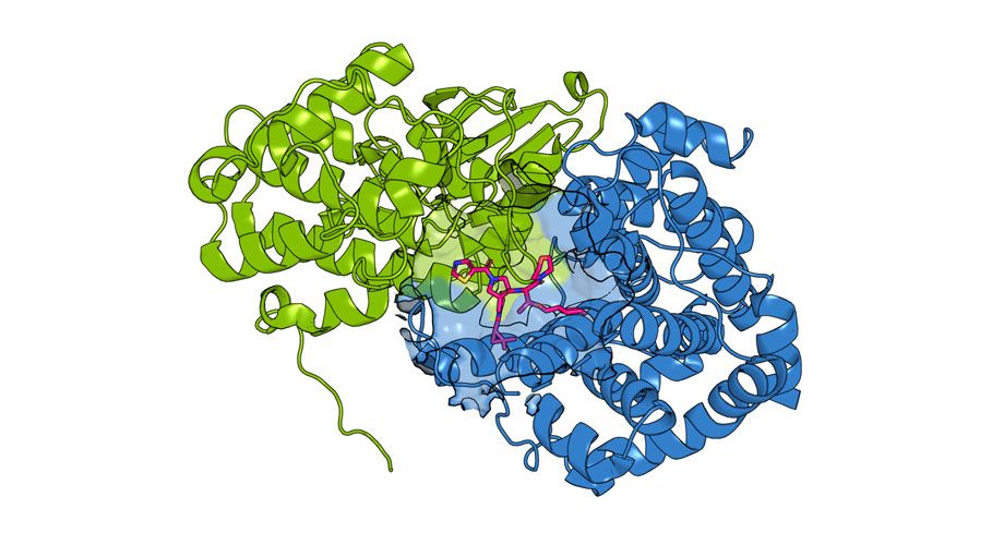 Ian Marks on LinkedIn: #cancerresearch #drugdesign #proteinbiology # ... Ian Marks on LinkedIn: #cancerresearch #drugdesign #proteinbiology # ...