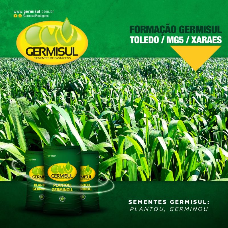 germisul germisul no LinkedIn: š± Elevada produtividade, especialmente ... germisul germisul no LinkedIn: š± Elevada produtividade, especialmente ...