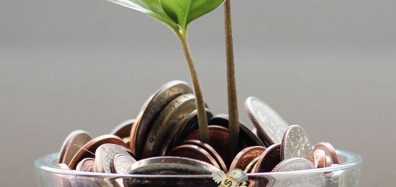 Lora Jackson on LinkedIn: Systematizing your growing business is about ... Lora Jackson on LinkedIn: Systematizing your growing business is about ...
