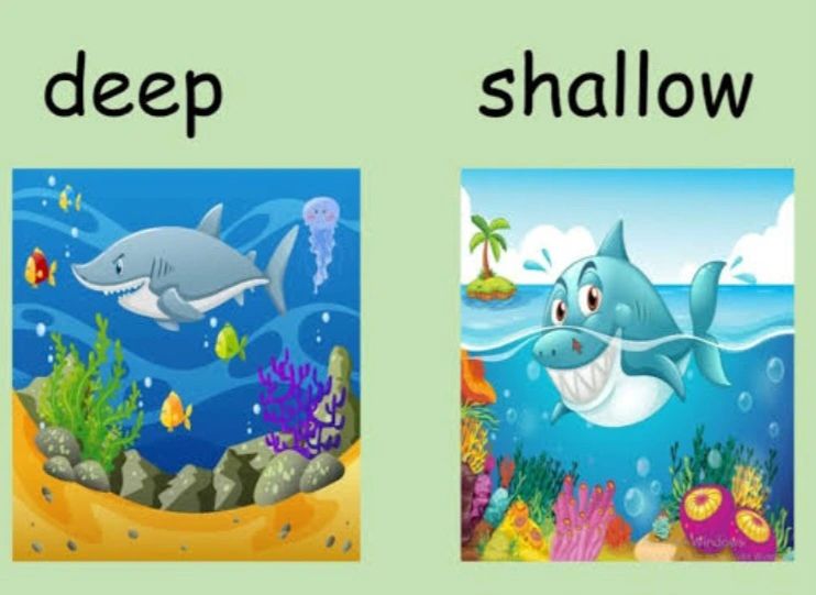 #python #coding #deepcopy #shallowcopy #developers #programmingtips ... #python #coding #deepcopy #shallowcopy #developers #programmingtips ...