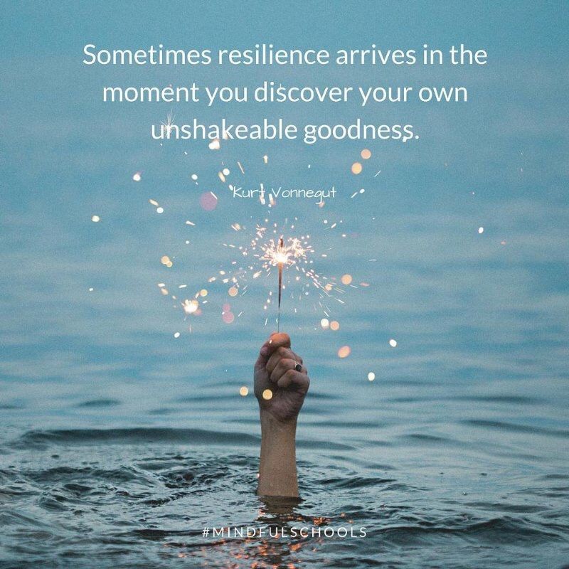 Valerie Loudon on LinkedIn: #neuroplasticity #mindfulness Valerie Loudon on LinkedIn: #neuroplasticity #mindfulness