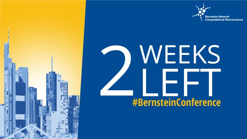 #bernsteinconference | Bernstein Network Computational Neuroscience #bernsteinconference | Bernstein Network Computational Neuroscience