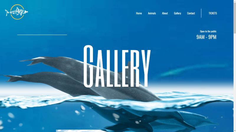 Abhijit Saha on LinkedIn: #webdevelopment #frontend #html #css # ... Abhijit Saha on LinkedIn: #webdevelopment #frontend #html #css # ...
