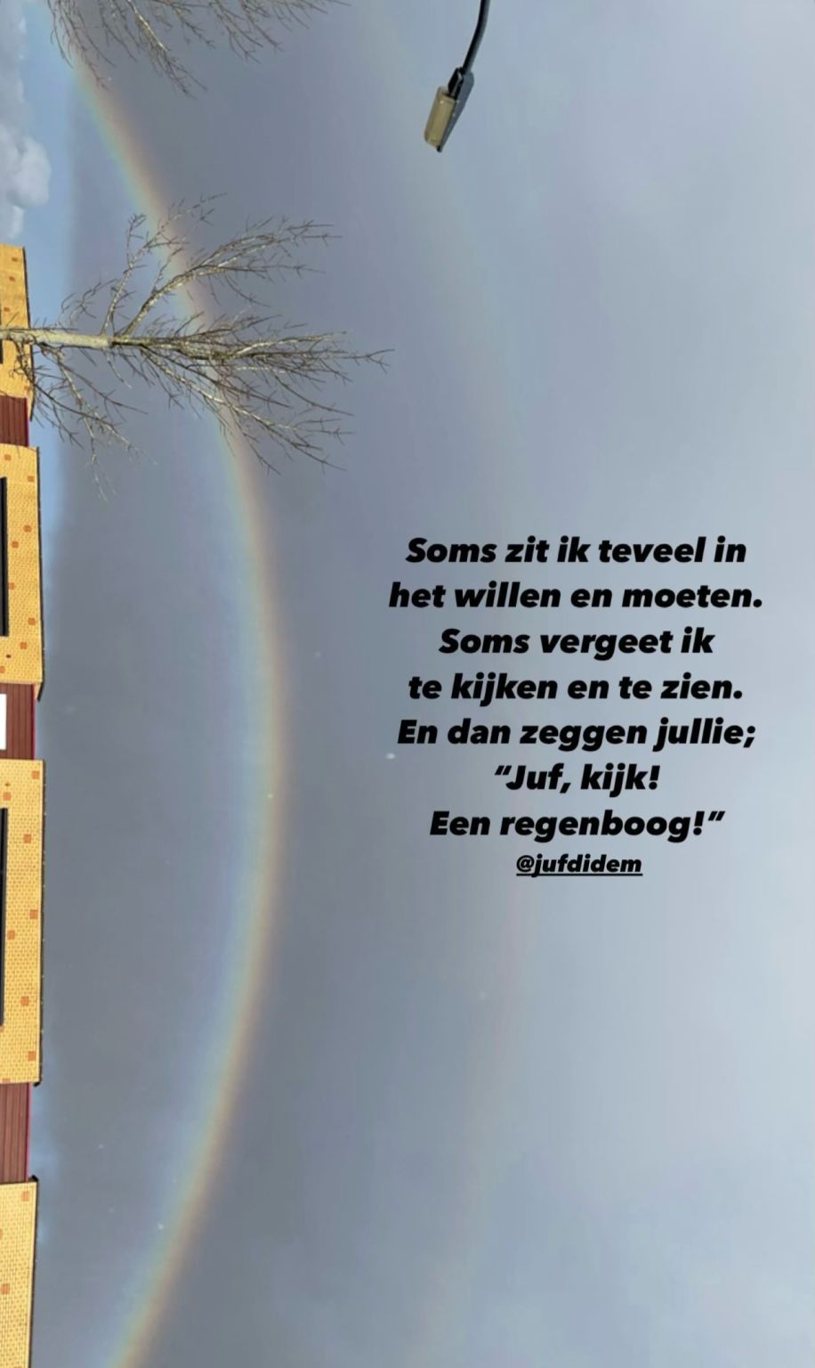 Didem Aykilic op LinkedIn: #onderwijs Didem Aykilic op LinkedIn: #onderwijs