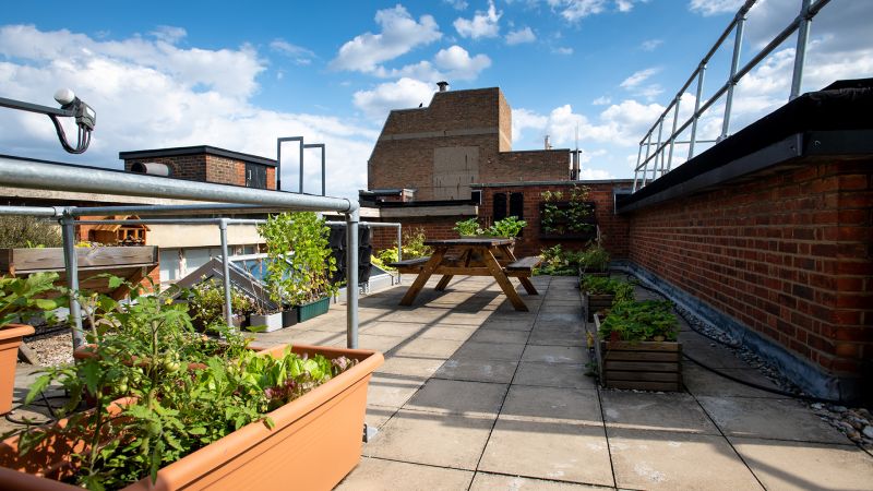 London Metropolitan University על LinkedIn: Let’s talk sustainability ... London Metropolitan University על LinkedIn: Let’s talk sustainability ...