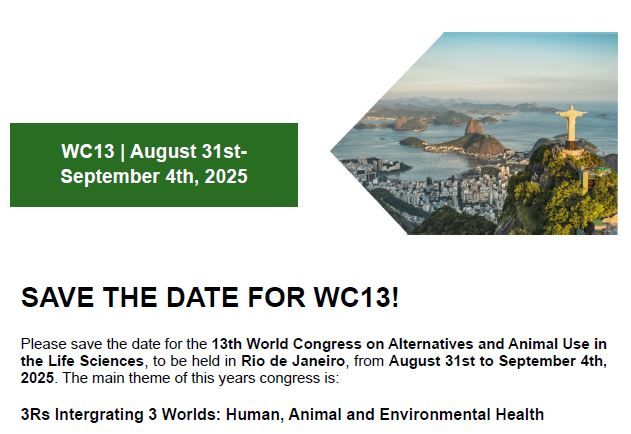 Camila Sgrignoli Januario on LinkedIn: SAVE THE DATE!!! WC13 in the ... Camila Sgrignoli Januario on LinkedIn: SAVE THE DATE!!! WC13 in the ...