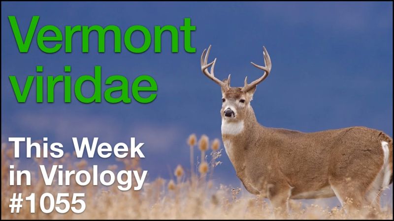 Vincent Racaniello on LinkedIn: TWiV 1055: Vermont viridae 🦌 Vincent ... Vincent Racaniello on LinkedIn: TWiV 1055: Vermont viridae 🦌 Vincent ...