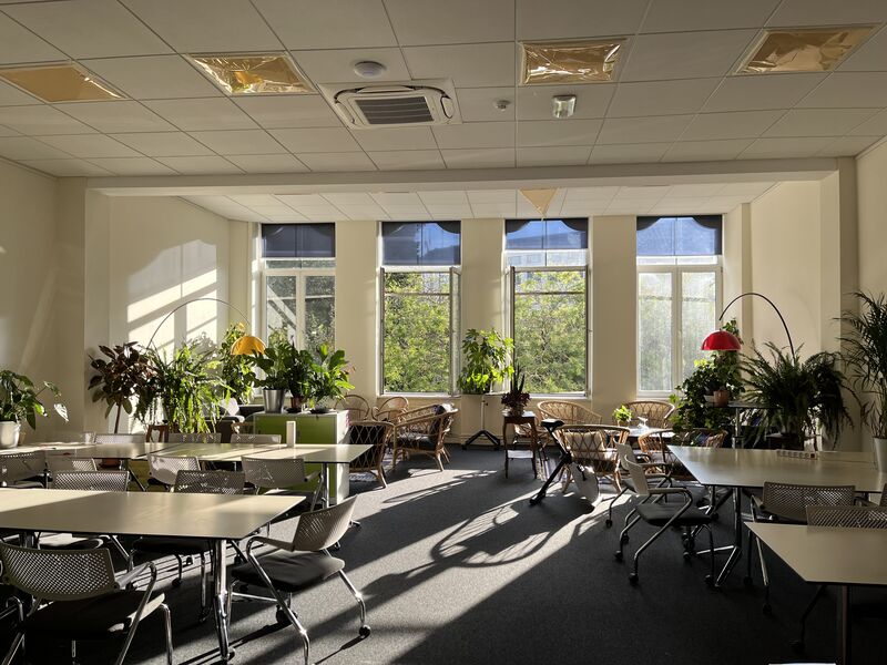 Leen Schelfhout on LinkedIn: Morning light in the co-working area ... Leen Schelfhout on LinkedIn: Morning light in the co-working area ...