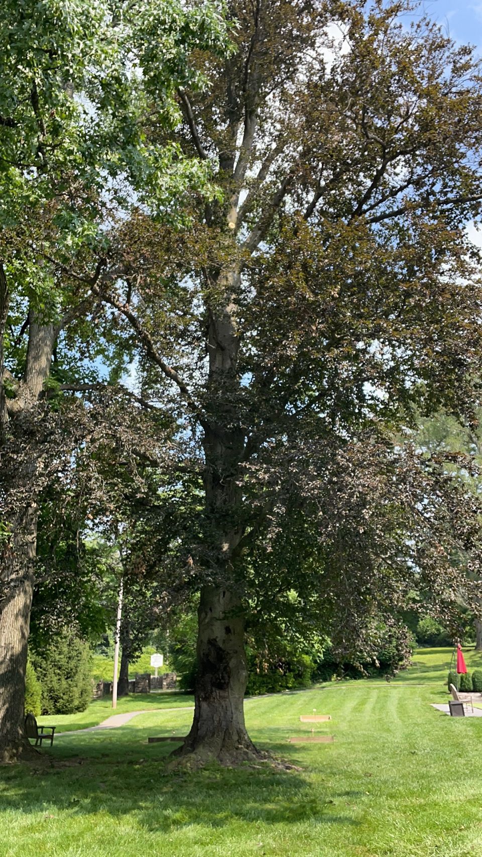 Dave Devenney on LinkedIn: #brightviewtreecareservices #brightview # ... Dave Devenney on LinkedIn: #brightviewtreecareservices #brightview # ...