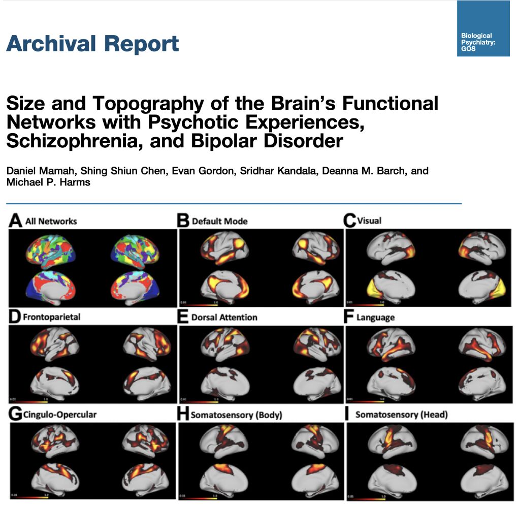Daniel Mamah, MD, MPE, DFAPA on LinkedIn: Our recent study found size ... Daniel Mamah, MD, MPE, DFAPA on LinkedIn: Our recent study found size ...