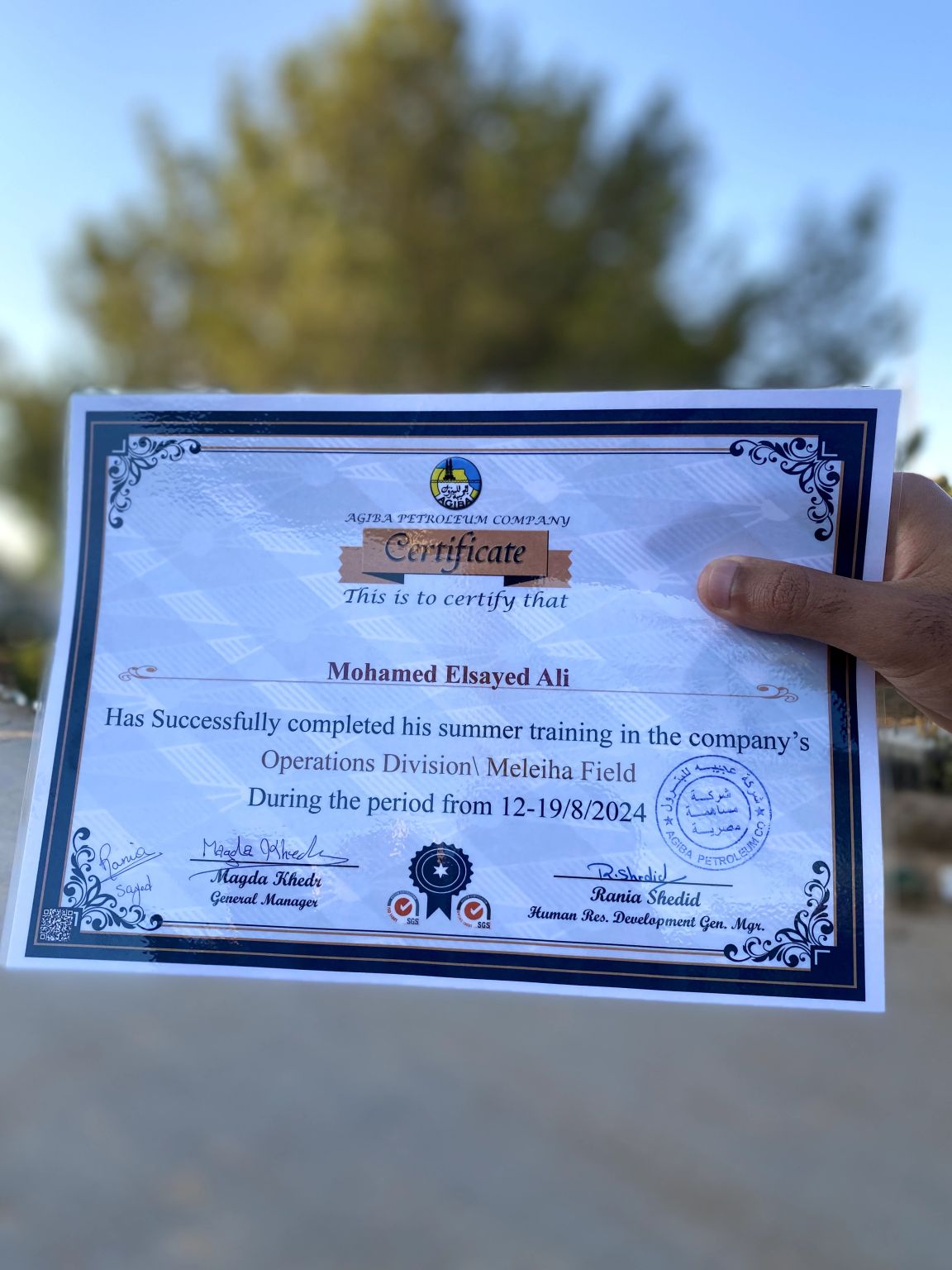 Mohamed Elsayed on LinkedIn: Completed - Training at Meleiha Field Mohamed Elsayed on LinkedIn: Completed - Training at Meleiha Field