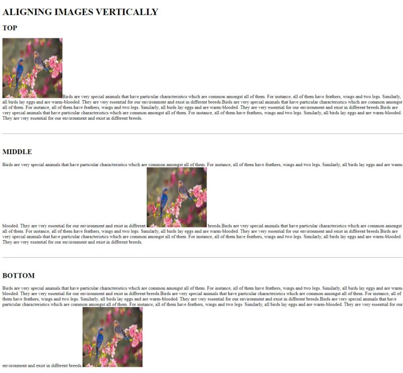 AYESHA ASGHAR on LinkedIn: Aligning Images Vertically in html AYESHA ASGHAR on LinkedIn: Aligning Images Vertically in html