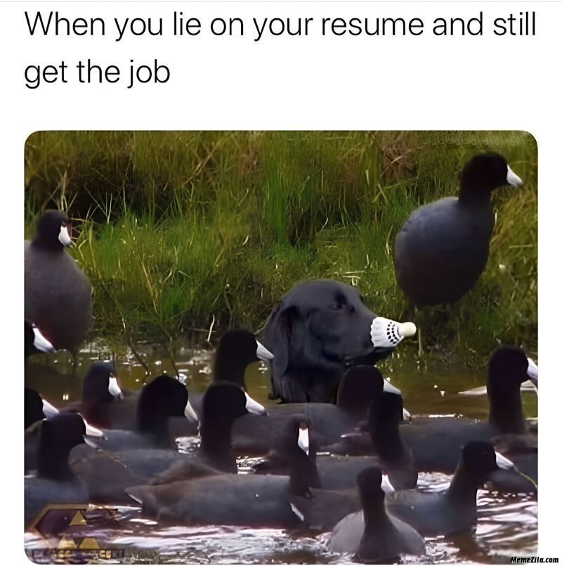 Marthala Vishnu Vardhan Reddy on LinkedIn: #resume #work #india #job # ... Marthala Vishnu Vardhan Reddy on LinkedIn: #resume #work #india #job # ...