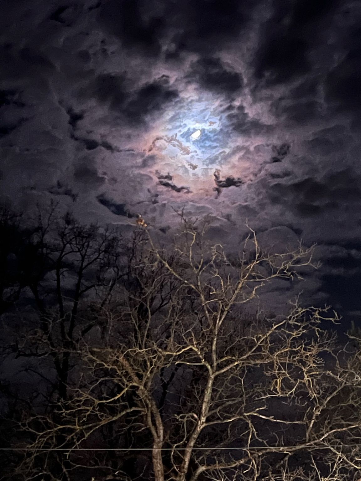 Zubin Nur Westrik on LinkedIn: Nature’s Beauty doesn’t change… Natural ... Zubin Nur Westrik on LinkedIn: Nature’s Beauty doesn’t change… Natural ...