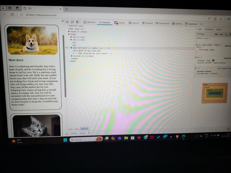 Ashutosh Pandey on LinkedIn: #html #css Ashutosh Pandey on LinkedIn: #html #css
