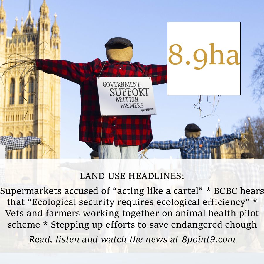 ffinlo Costain on LinkedIn: LAND NEWS: Supermarkets accused of “acting ... ffinlo Costain on LinkedIn: LAND NEWS: Supermarkets accused of “acting ...