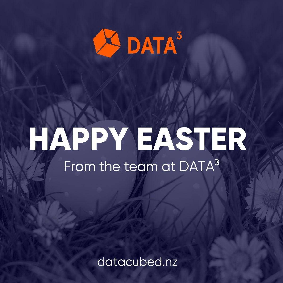 Happy Easter from the team at Data Cubed Aotearoa 🐰 🐤 | Data Cubed Aotearoa Happy Easter from the team at Data Cubed Aotearoa 🐰 🐤 | Data Cubed Aotearoa