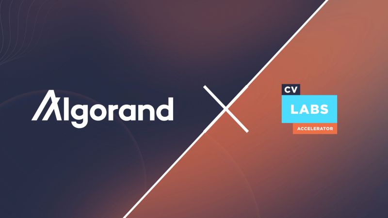 Apply to CV Labs Accelerator | CV Labs Apply to CV Labs Accelerator | CV Labs