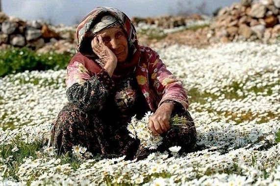 وحين يسألونك عن عمرك، أخبرهم أن جميل الروح لا يشيخ ولا يكبر وحين يسألونك عن عمرك، أخبرهم أن جميل الروح لا يشيخ ولا يكبر
