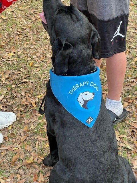 Our kiddos recently had a great visit from Highland Canine Connect ... Our kiddos recently had a great visit from Highland Canine Connect ...