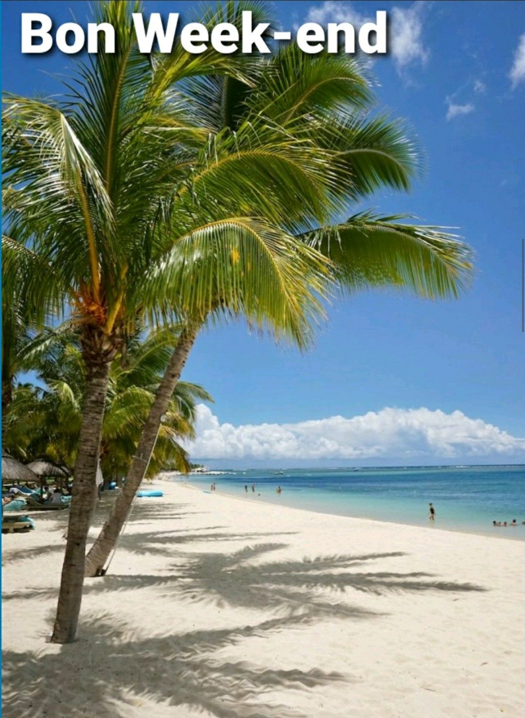Francois Noel Haba posted on LinkedIn Francois Noel Haba posted on LinkedIn