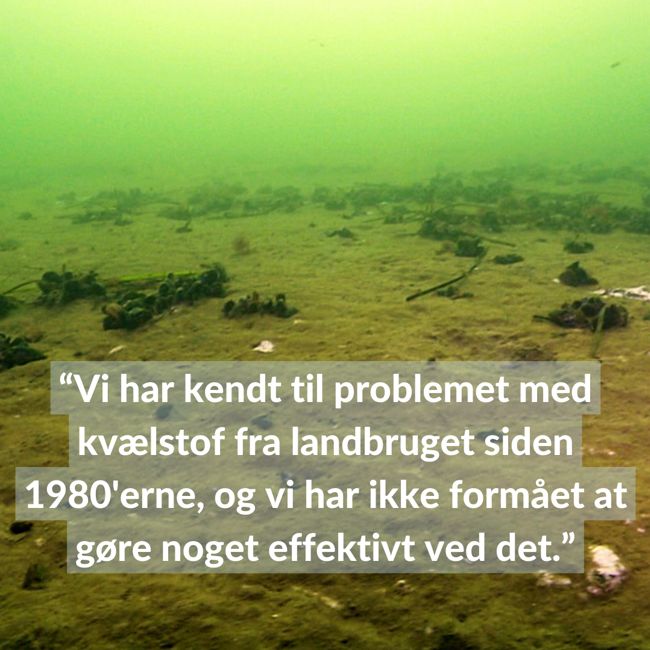 Emil Nielsen på LinkedIn: Beklager, hvis jeg igen kommer til at skrive ... Emil Nielsen på LinkedIn: Beklager, hvis jeg igen kommer til at skrive ...