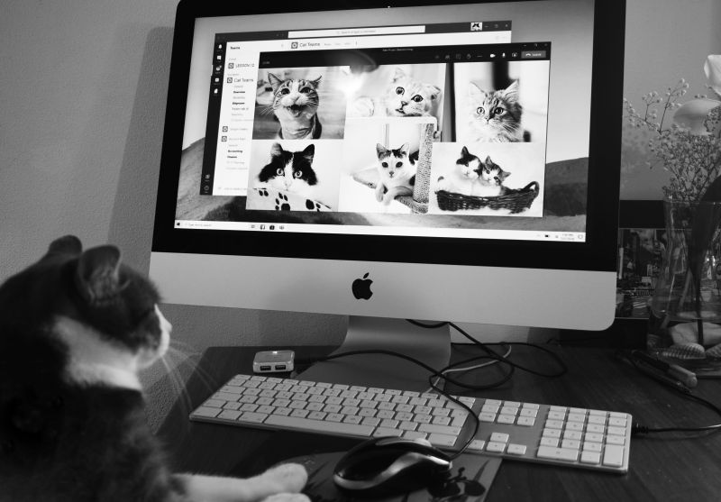 Does leading your AI team feel like herding cats? If you’ve led AI ... Does leading your AI team feel like herding cats? If you’ve led AI ...