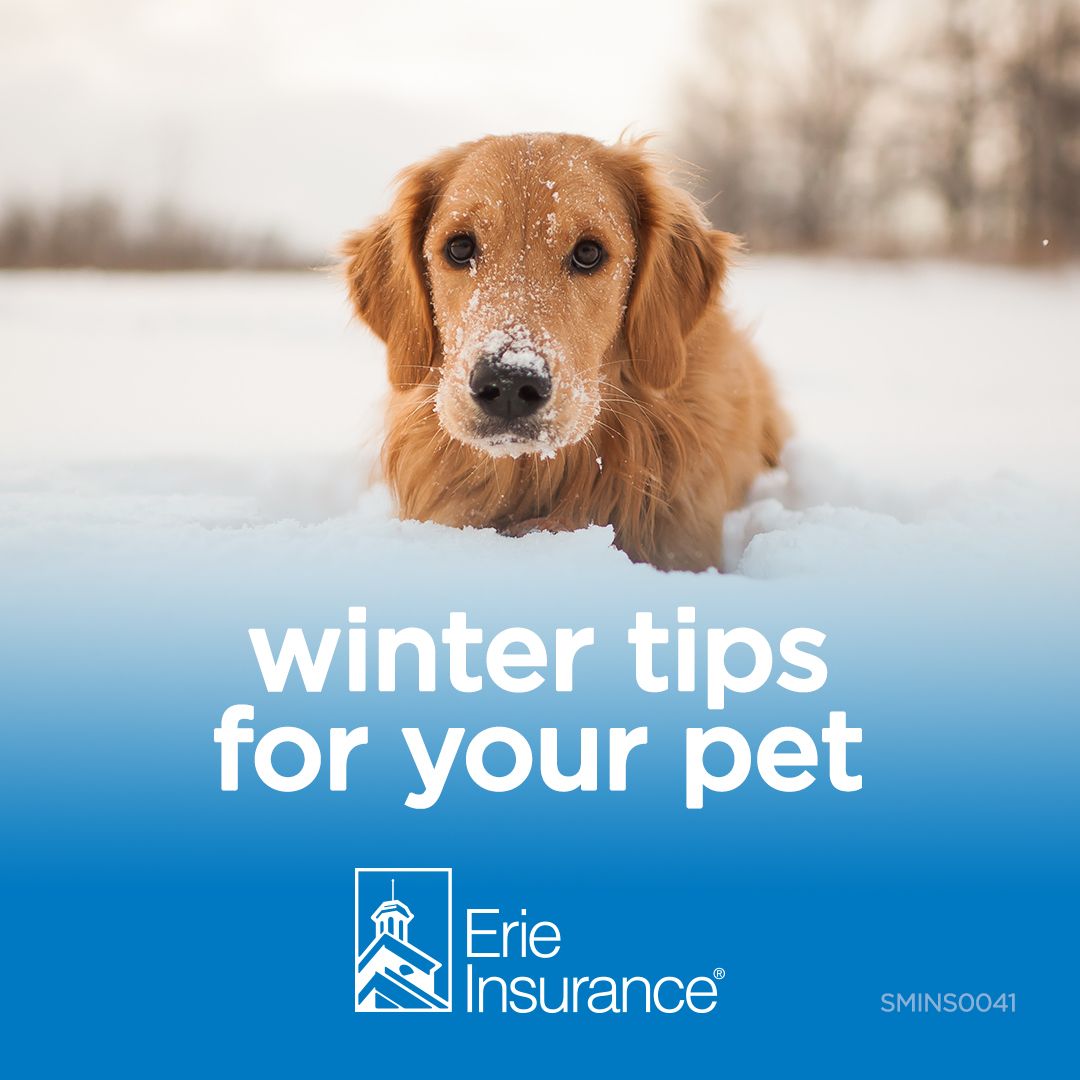 How to stay safe in winter | Mary Blair CIC, CPCU, API, AIS, AINS, AU ... How to stay safe in winter | Mary Blair CIC, CPCU, API, AIS, AINS, AU ...