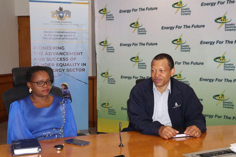 Eswatini Electricity Company on LinkedIn: #energyforthefuture Eswatini Electricity Company on LinkedIn: #energyforthefuture