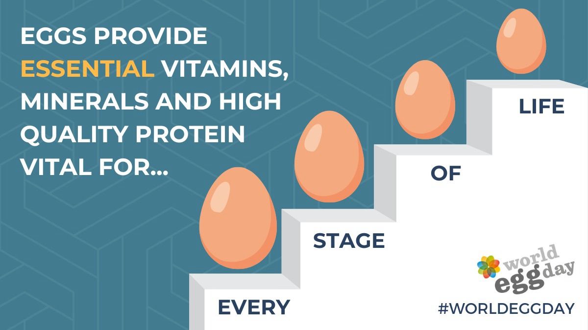 Danielle B. Ayyash on LinkedIn: EGGS, THE SUPERFOOD !! Eggs are among ... Danielle B. Ayyash on LinkedIn: EGGS, THE SUPERFOOD !! Eggs are among ...