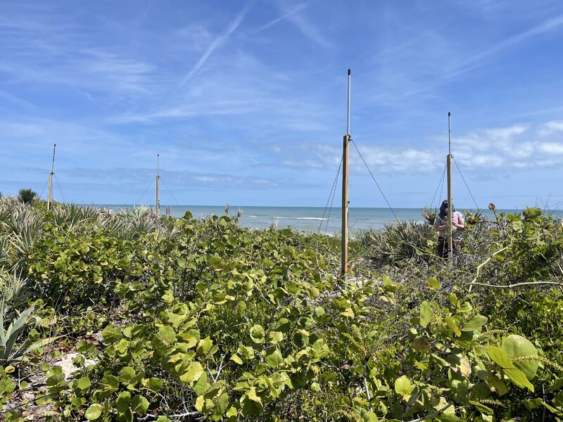 Southeast Coastal Ocean Observing Regional Association (SECOORA) on ... Southeast Coastal Ocean Observing Regional Association (SECOORA) on ...