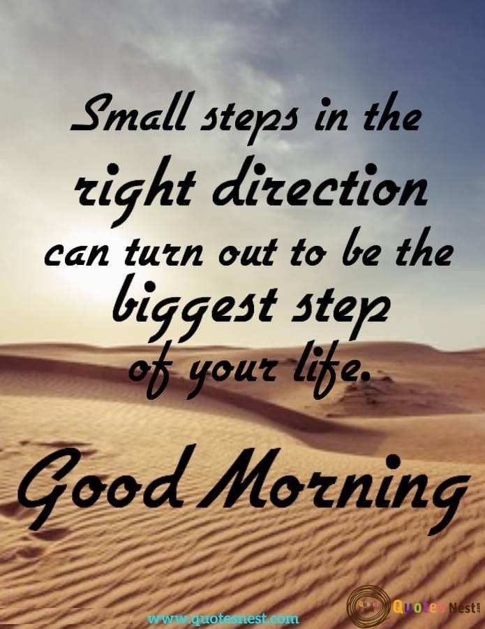 Pete Zdanis on LinkedIn: Good Morning! Pete Zdanis on LinkedIn: Good Morning!