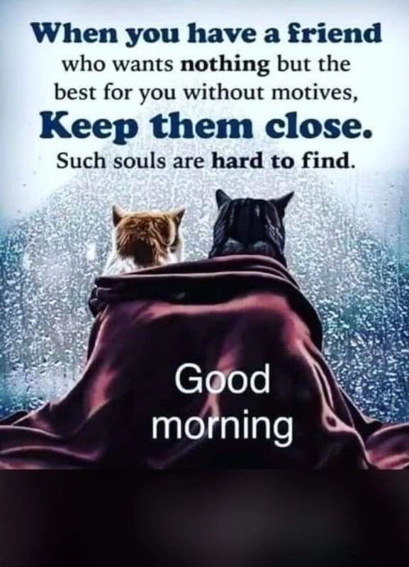 Manoj Kumar Attoor on LinkedIn: #goodmorning Manoj Kumar Attoor on LinkedIn: #goodmorning