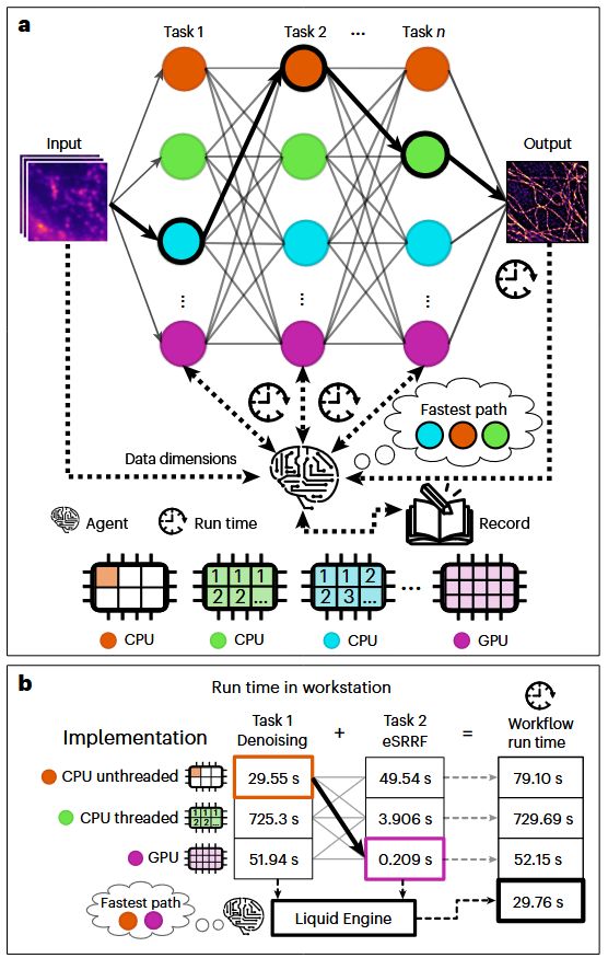 Volodymyr Nechyporuk-Zloy on LinkedIn: Efficiently accelerated bioimage ... Volodymyr Nechyporuk-Zloy on LinkedIn: Efficiently accelerated bioimage ...