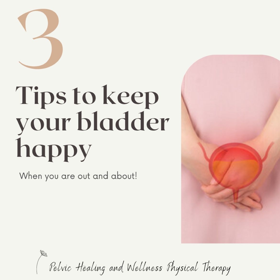 #bladder #bladderhealth #bladdertips #bladderdysfunction #bladdercare ... #bladder #bladderhealth #bladdertips #bladderdysfunction #bladdercare ...