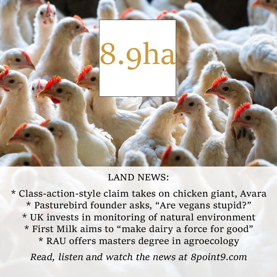 LAND NEWS: Class-action-style claim takes on chicken giant, Avara ... LAND NEWS: Class-action-style claim takes on chicken giant, Avara ...