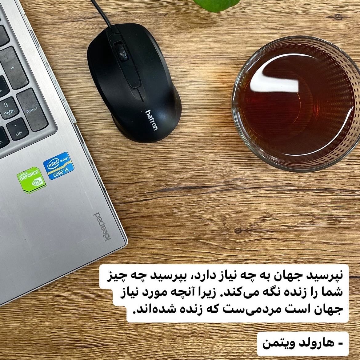 #هارولد_ویتمن | Hossein Setareh #هارولد_ویتمن | Hossein Setareh