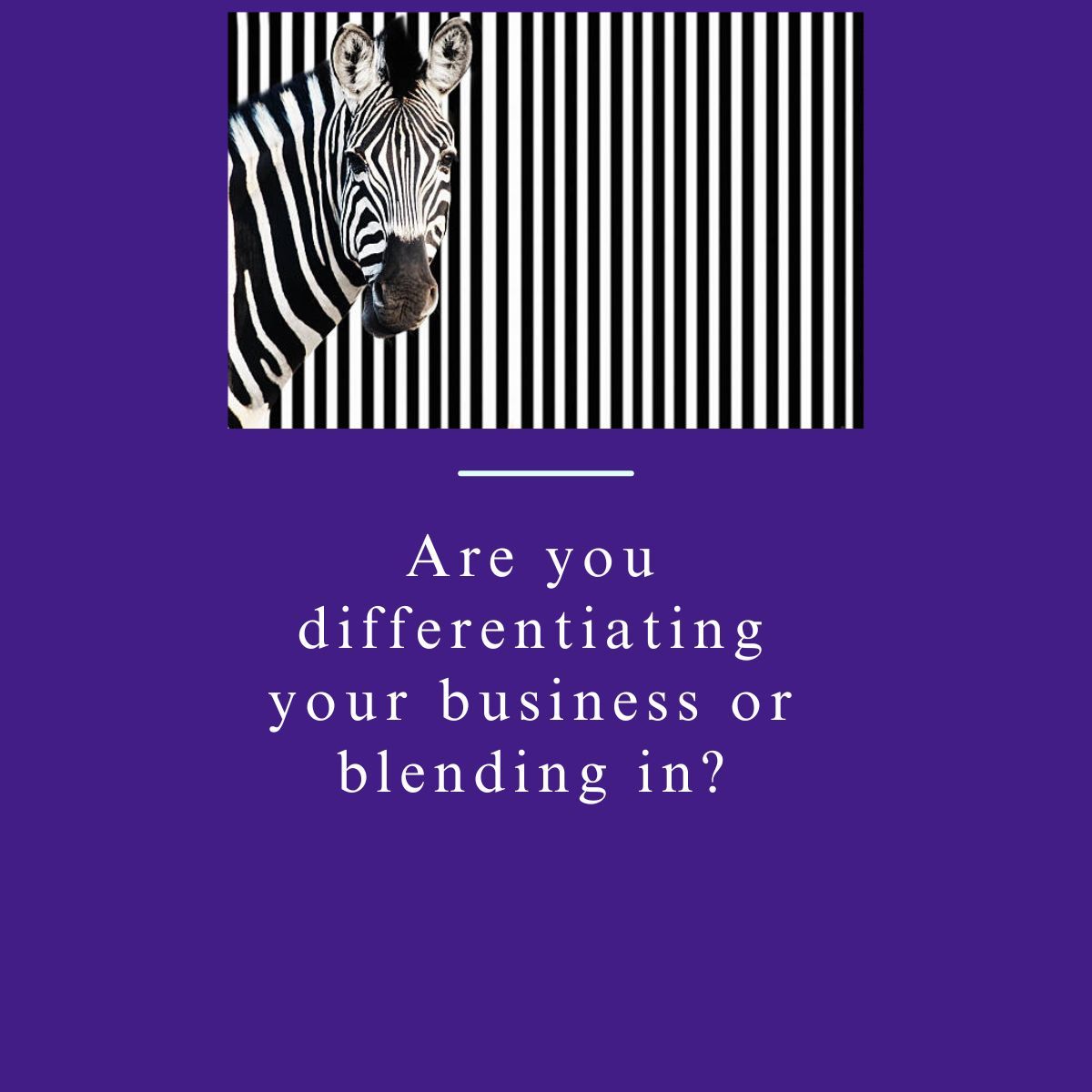 Tracey Burnett on LinkedIn: Are you running a marketing services ... Tracey Burnett on LinkedIn: Are you running a marketing services ...