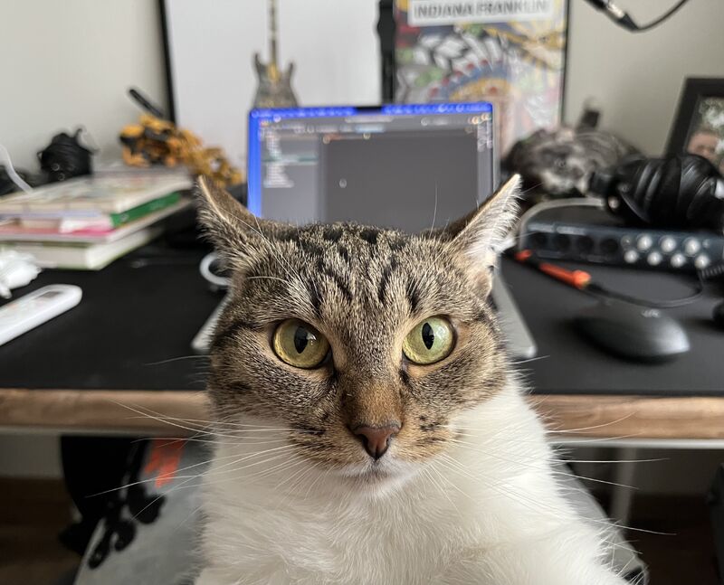 Mikhail Sakharov on LinkedIn: #qa #javalearning #cat #workspace Mikhail Sakharov on LinkedIn: #qa #javalearning #cat #workspace